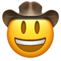 🤠 Cowboy Hat Face Emoji